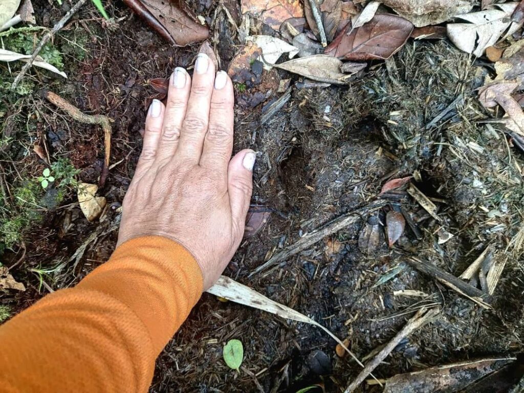 Visión Agropecuaria